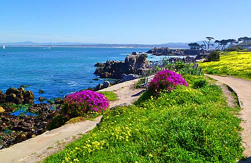 Lovers Point Pacific Grove - Beacho
